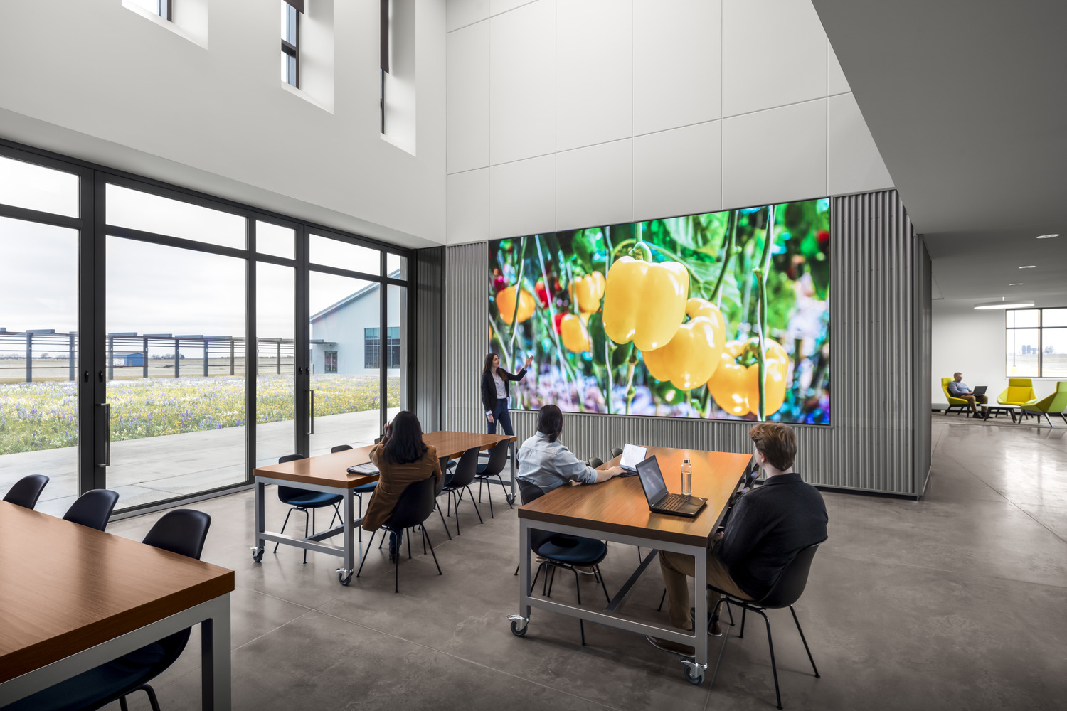 Syngenta, R & D Innovation Center - BWBR