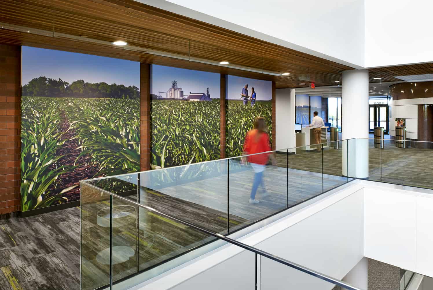 Corporate Headquarters Master Plan and Phased Renovation - BWBR